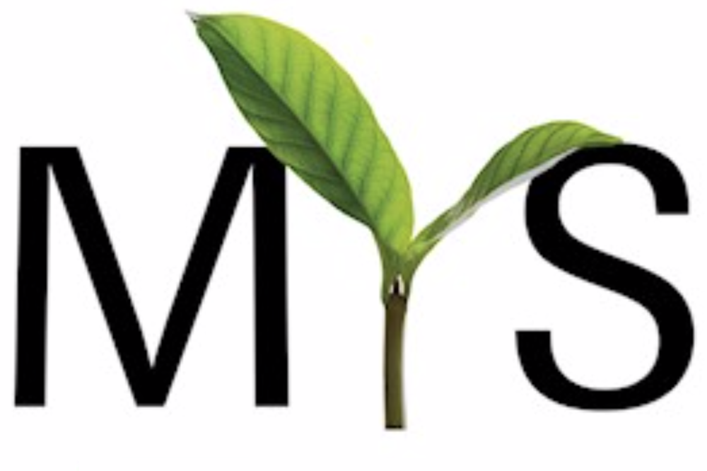 MYS Conference – Me and Your Stories – Rix Inclusive Research
